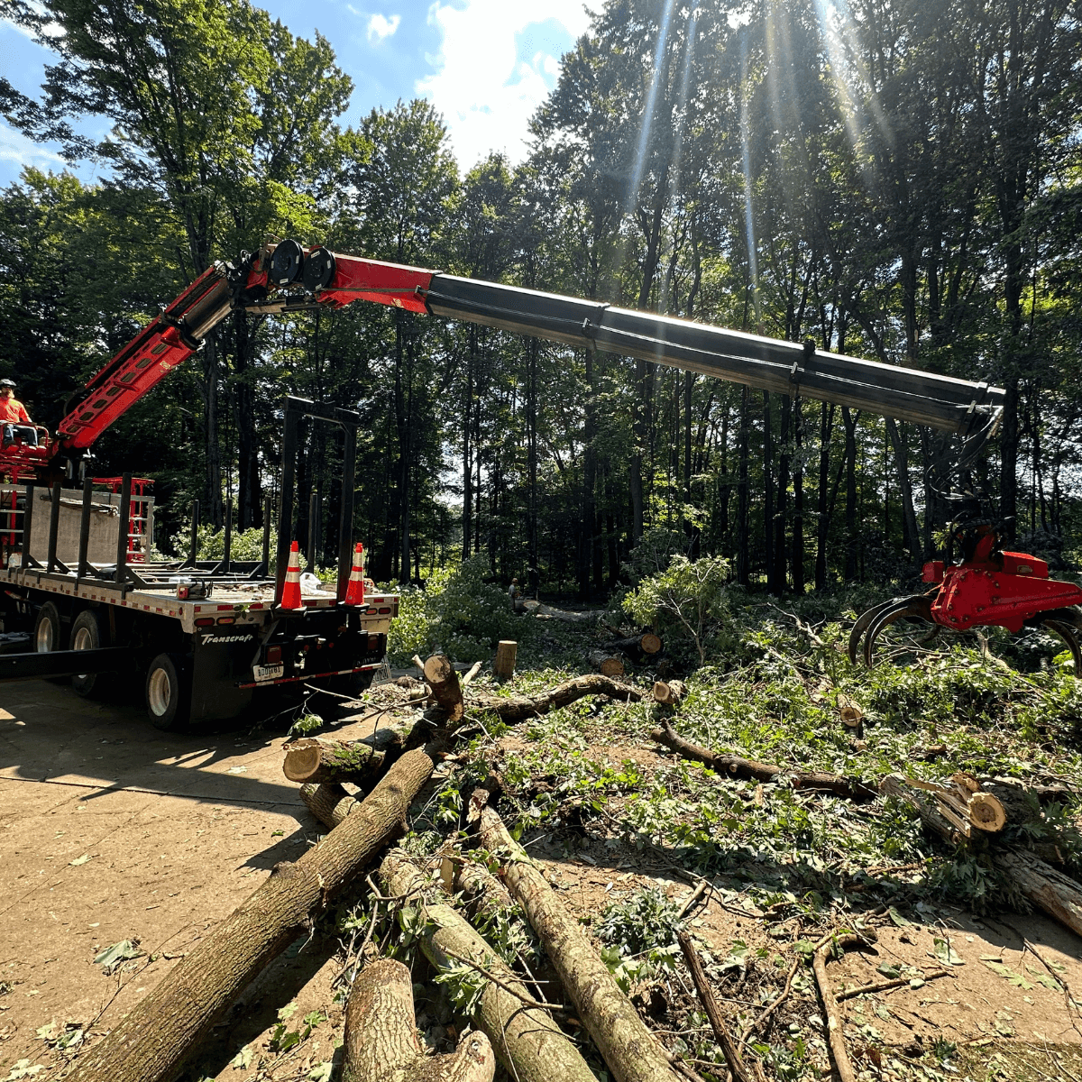 Brawner's Tree Service | Battle Creek & Kalamazoo, MI